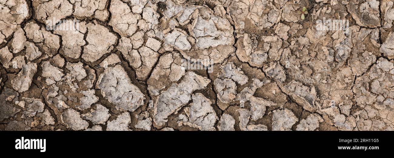 Dry cracked ground as background, top view. Banner design Stock Photo ...