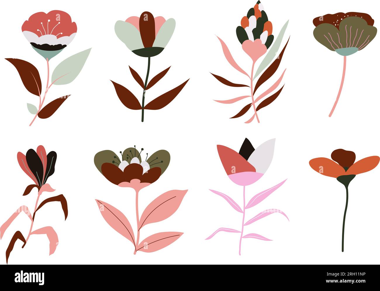 Flowers in blossom, flourishing plants and flora Stock Vector Image ...