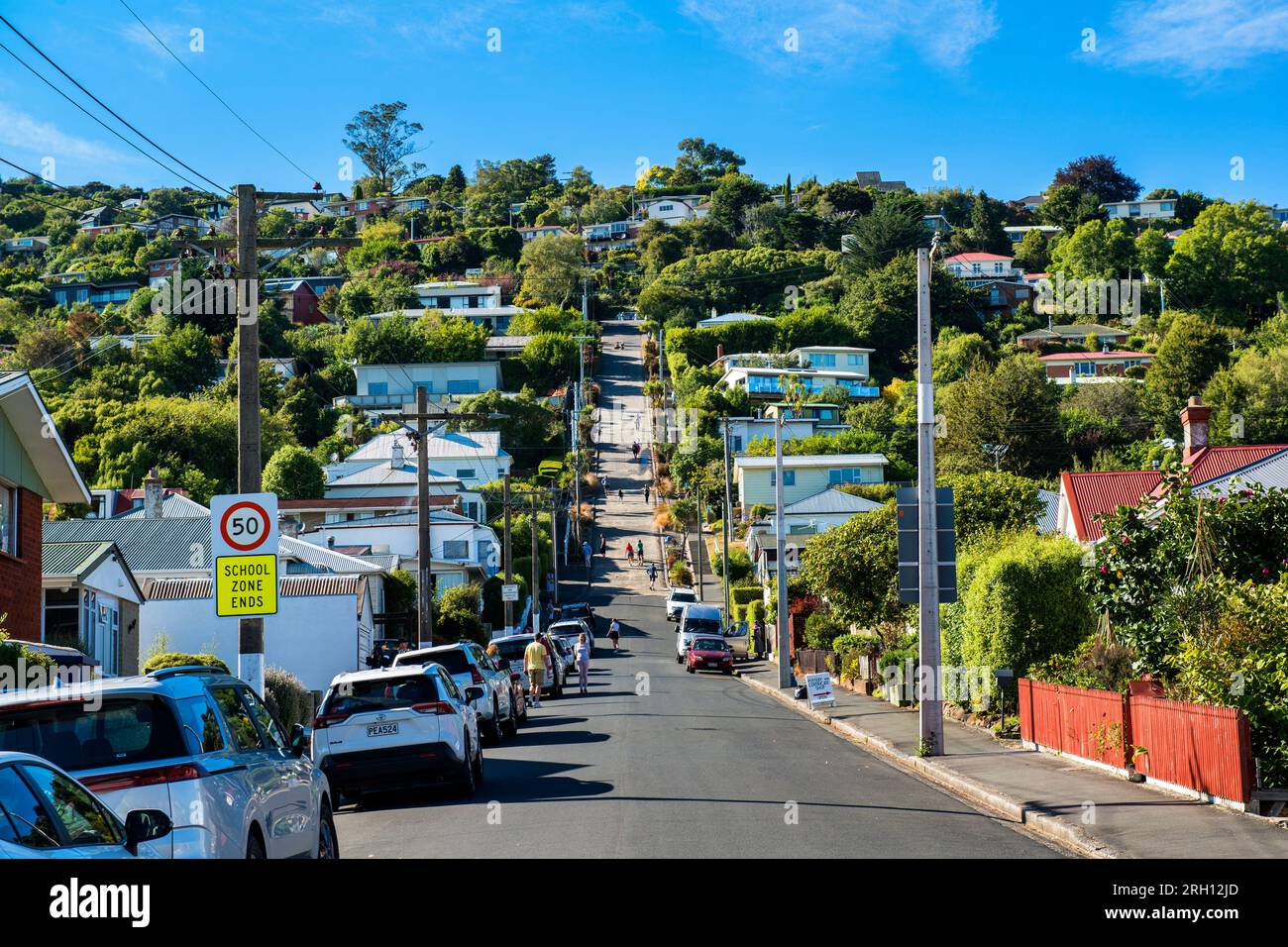 Baldwin Street, steepest street in the World, Dunedin, Otago Peninsula, South Island, New ...