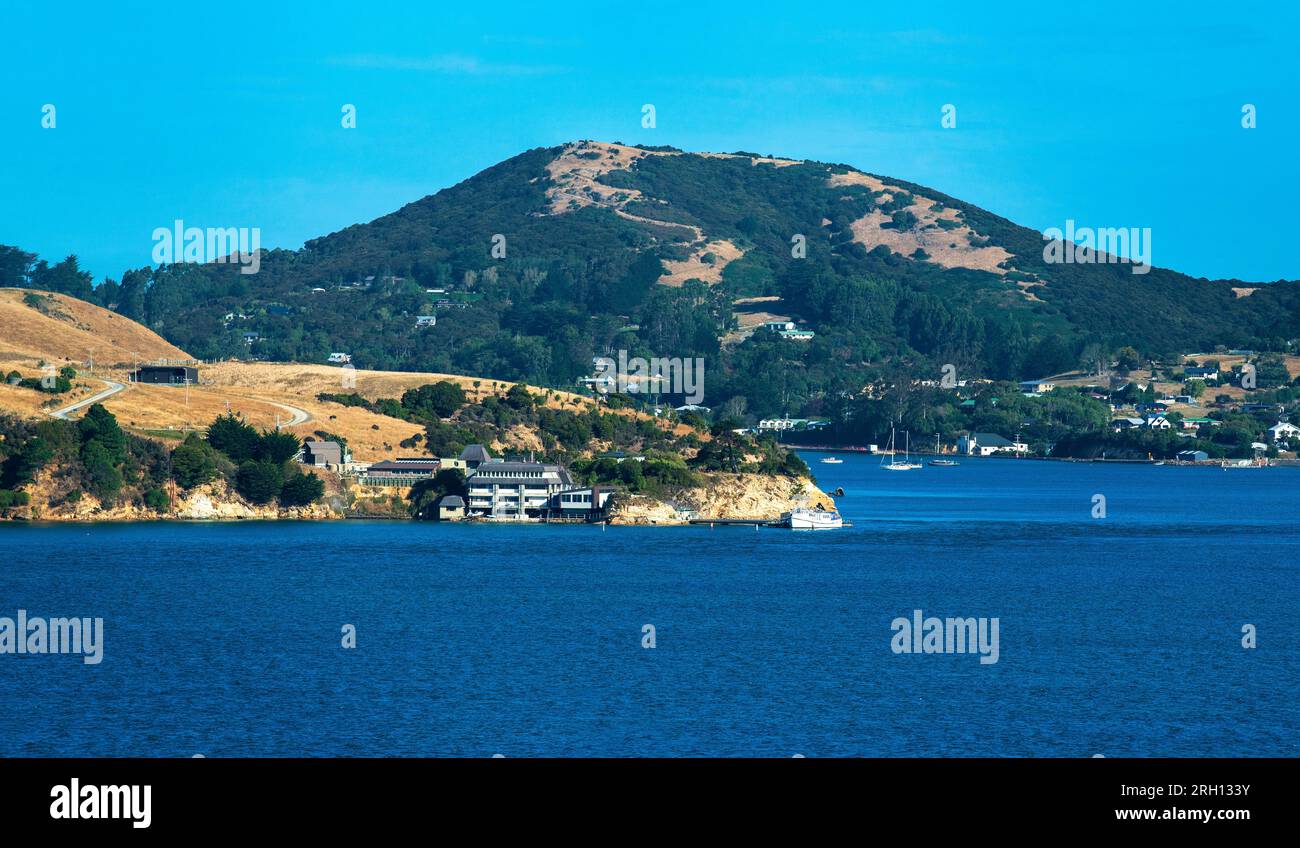 Otago Harbour, Otago Peninsula, Dunedin, South Island, New Zealand ...