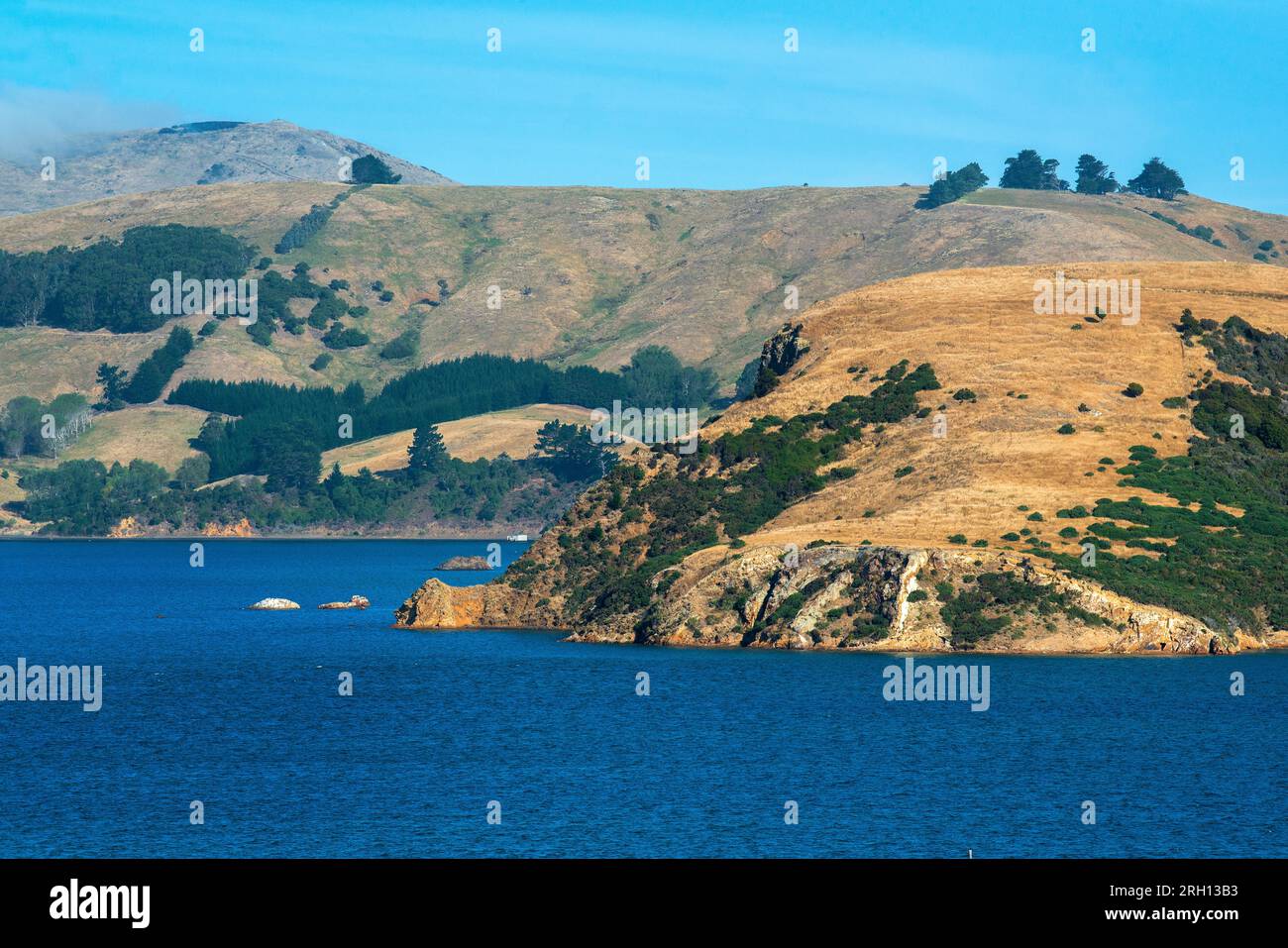 Otago Harbour, Otago Peninsula, Dunedin, South Island, New Zealand ...