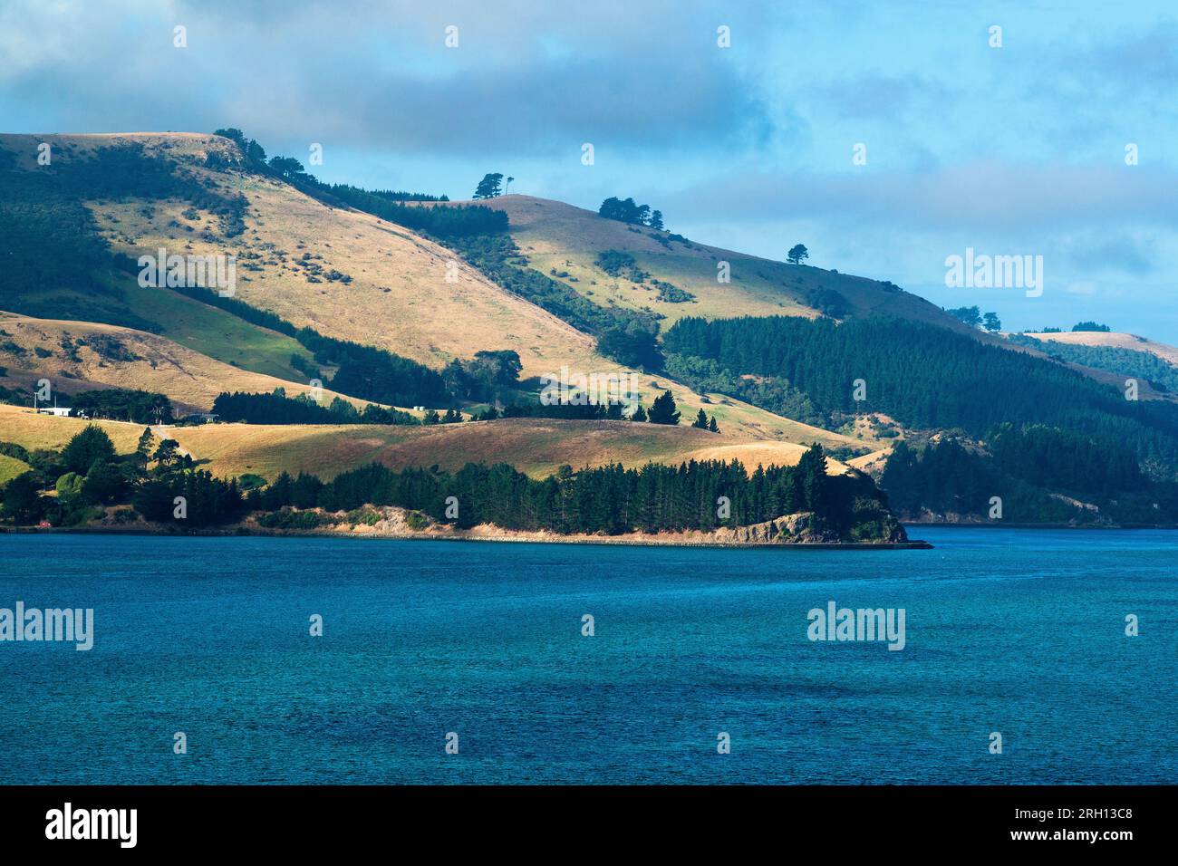 Otago Harbour, Otago Peninsula, Dunedin, South Island, New Zealand ...