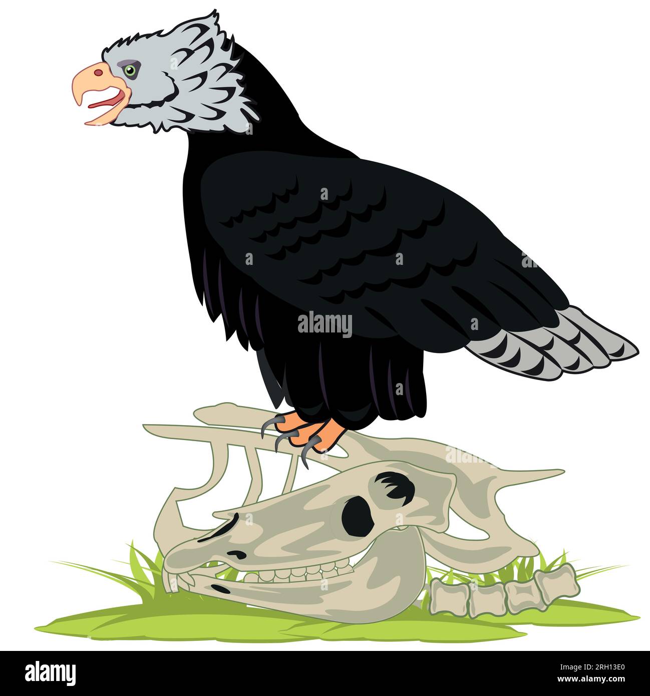 Vector illustration of the bird vulture on skeleton and remains animal ...