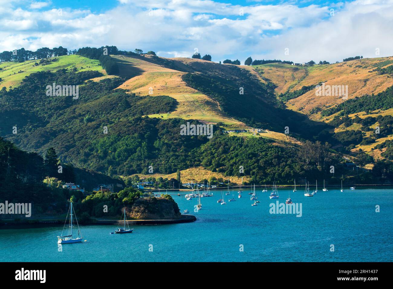 Rocky Point and Deborah Bay, Otago Harbour, Dunedin, South Island, New ...