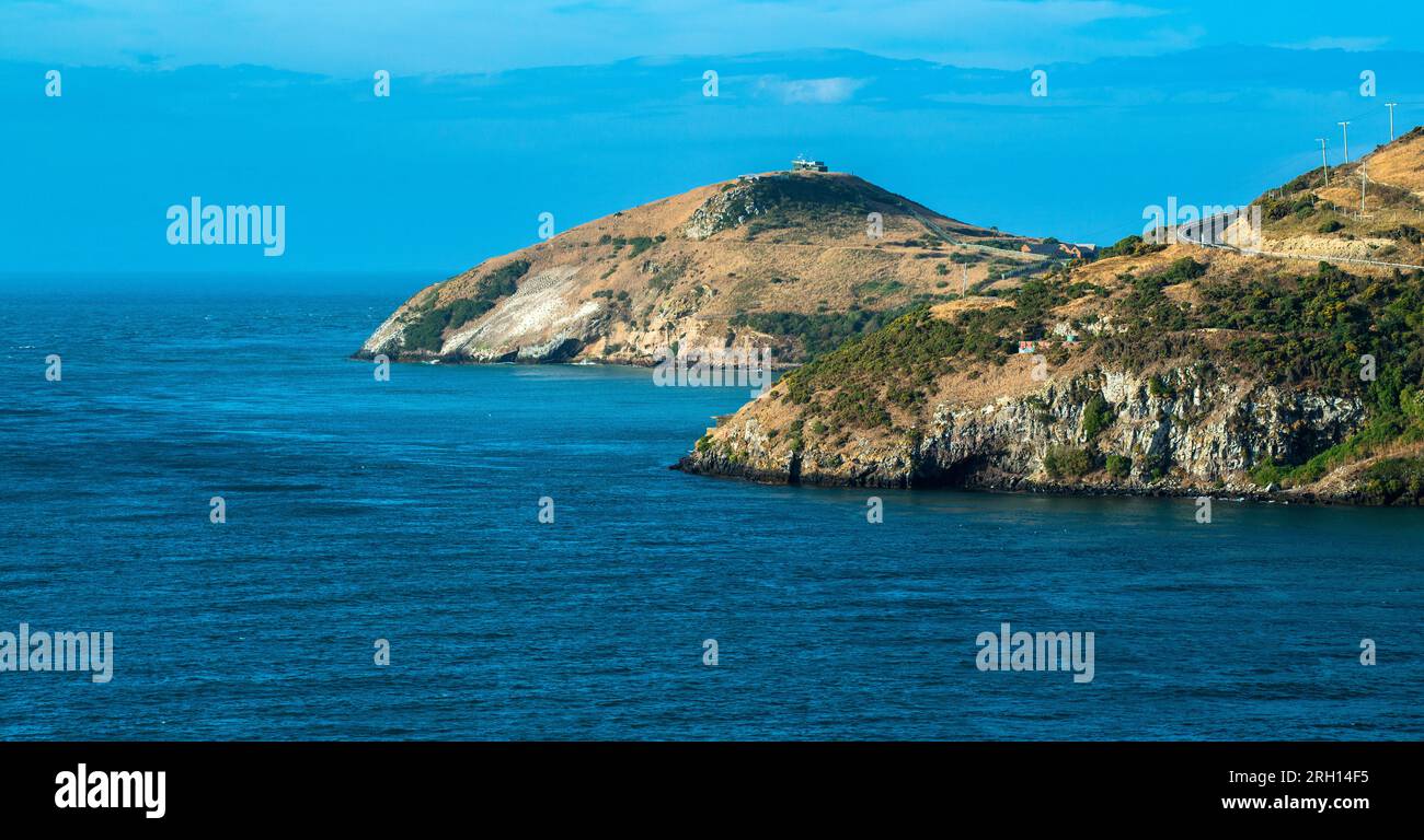 Royal Albatross Centre, Taiaroa Head, Dunedin, Otago Peninsula, South ...