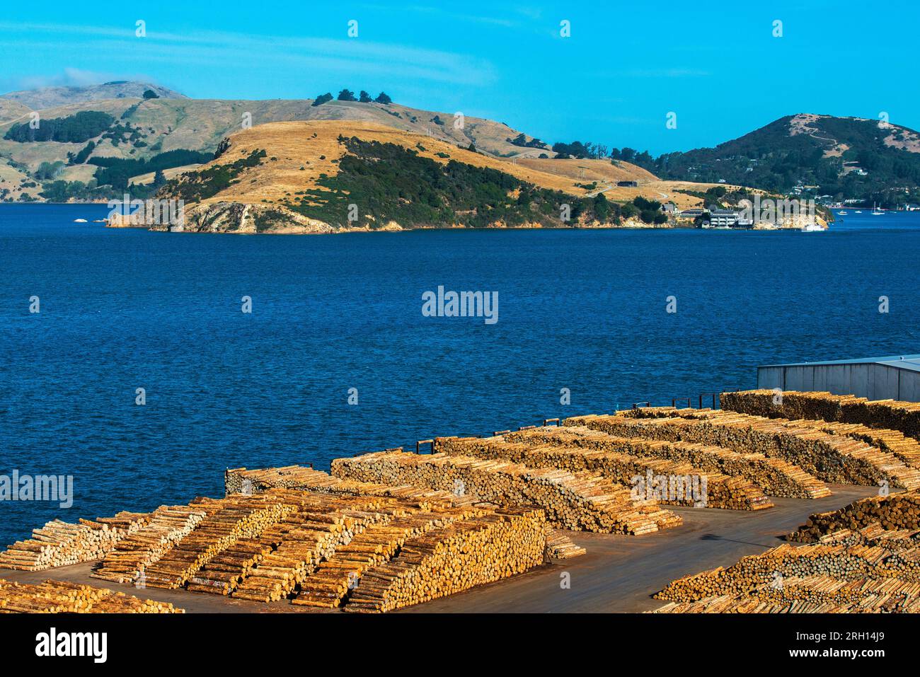 Wood logs being prepared for loading at Port Chalmers, Dunedin, Otago ...