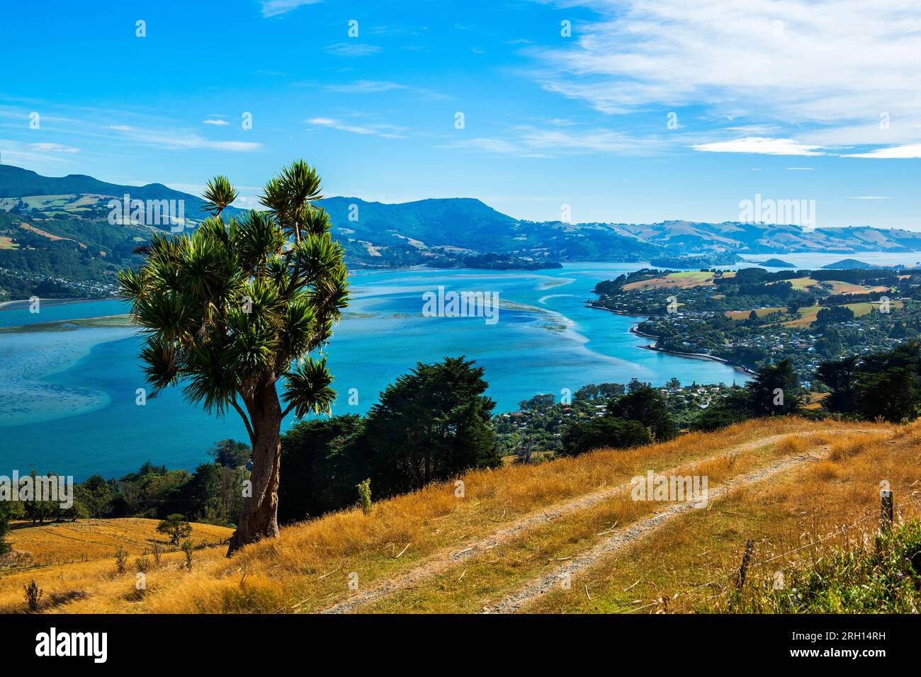 Otago Harbour and Otago Peninsula coastal landscape, Dunedin, South ...