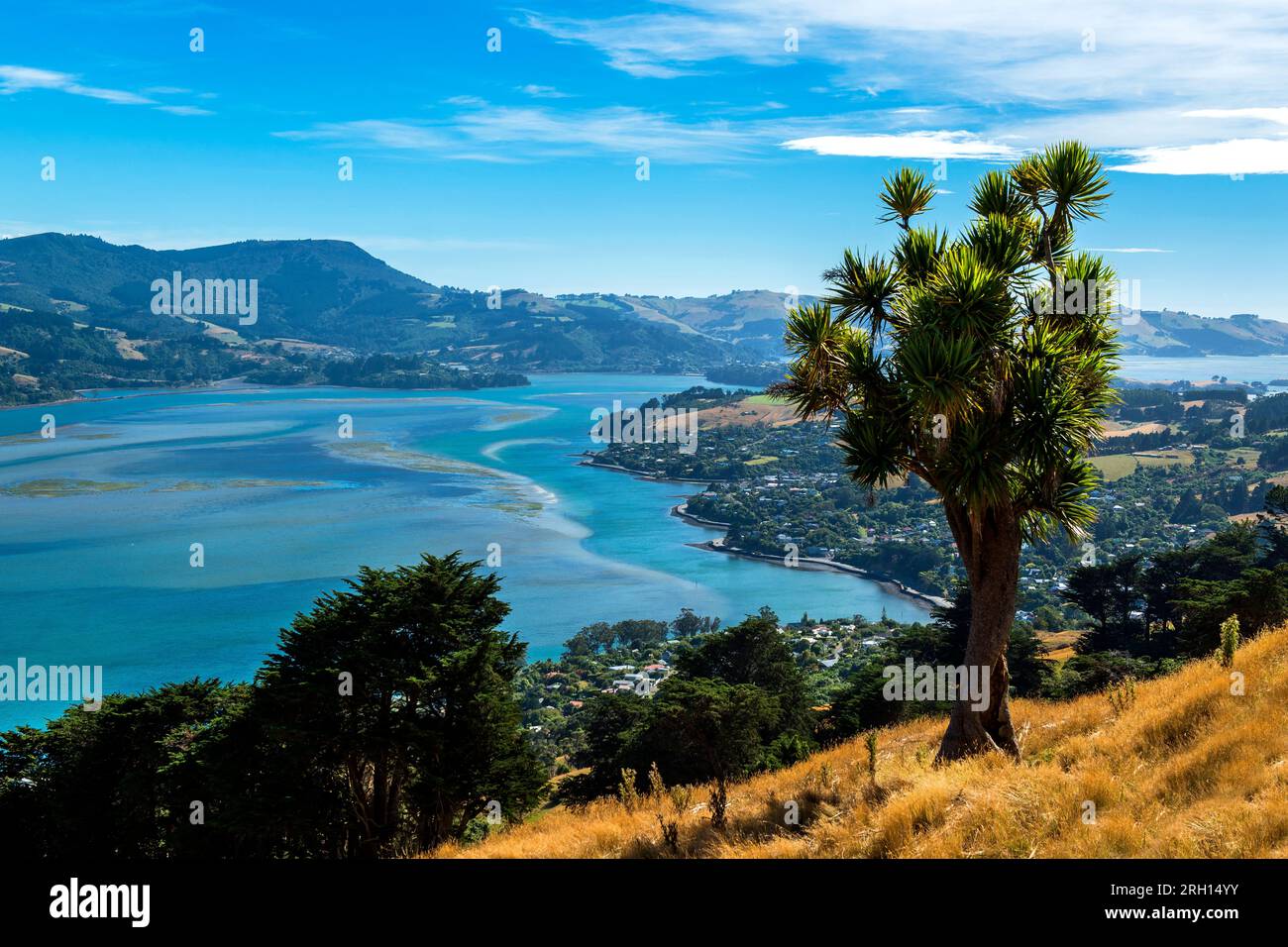 Otago Harbour and Otago Peninsula coastal landscape, Dunedin, South ...
