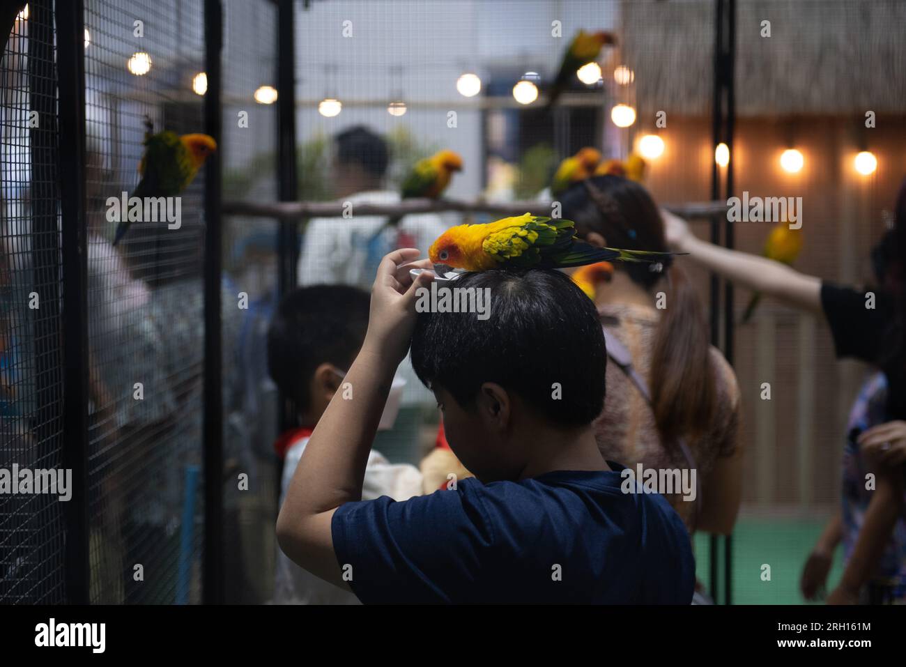 Thailand pet expo hi-res stock photography and images - Alamy