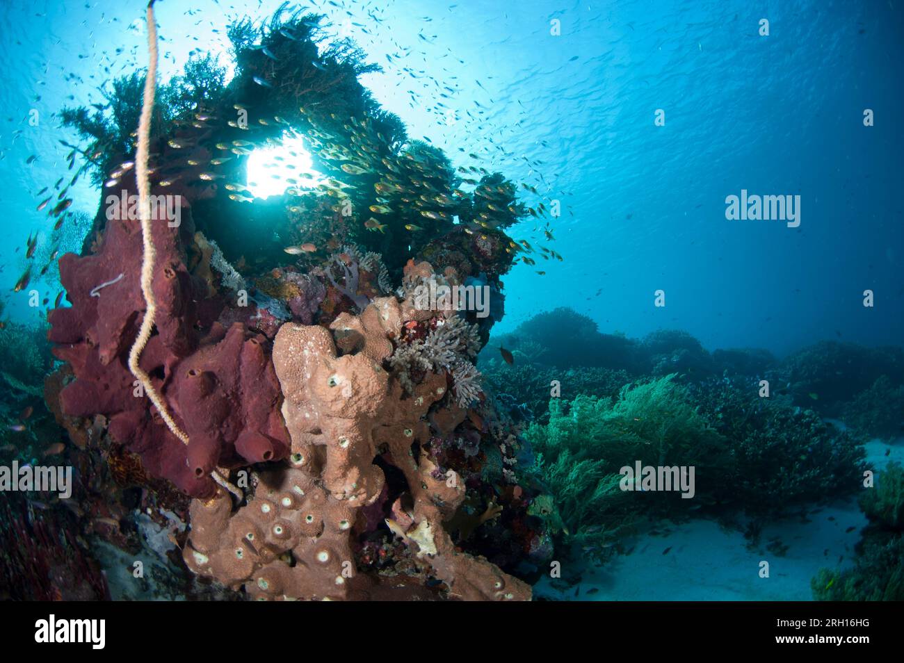 Tatawa besar island hi-res stock photography and images - Alamy