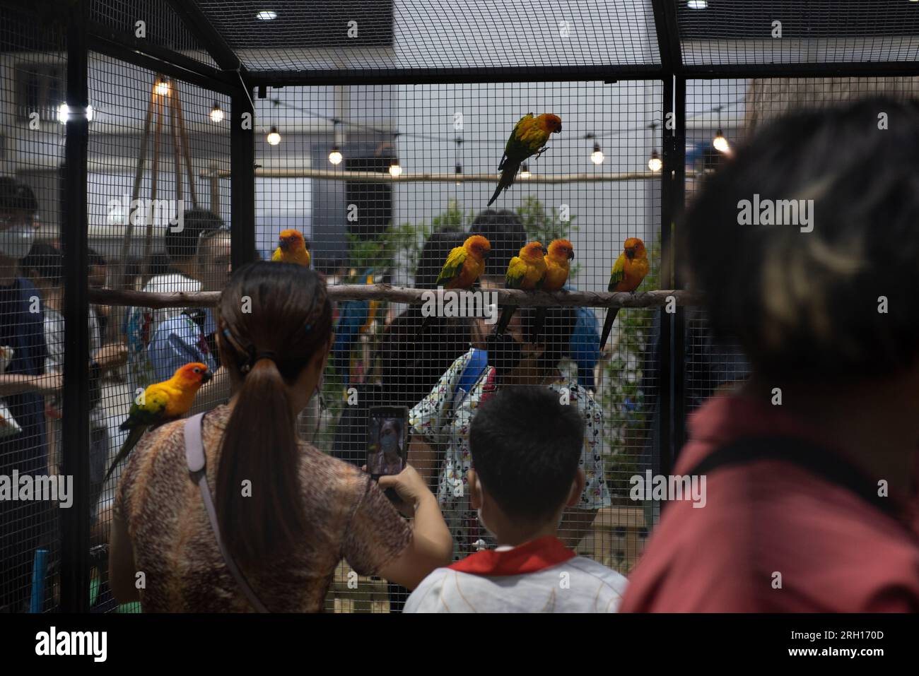 Pet expo championship 2023 hi-res stock photography and images - Alamy