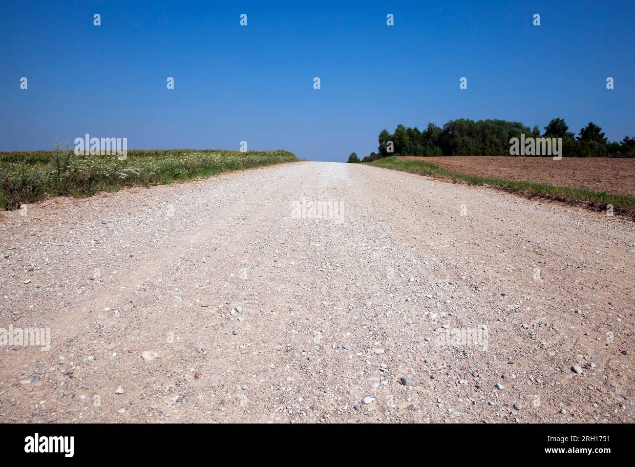 a country road without asphalt, a simple rural road through fields and ...