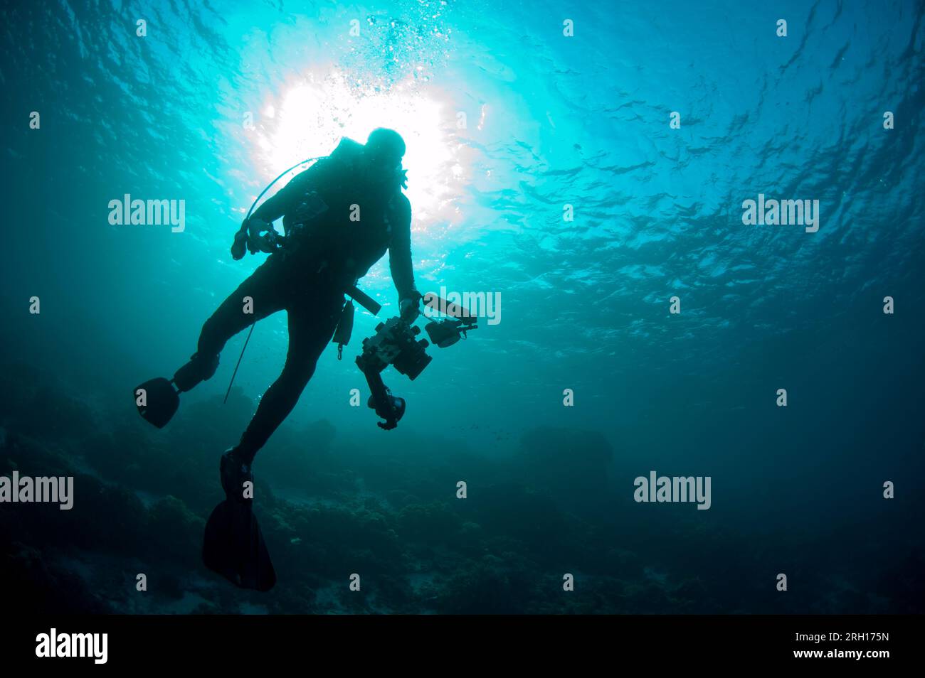 Diver with camera with sun in background, Tatawa Besar Island, between ...