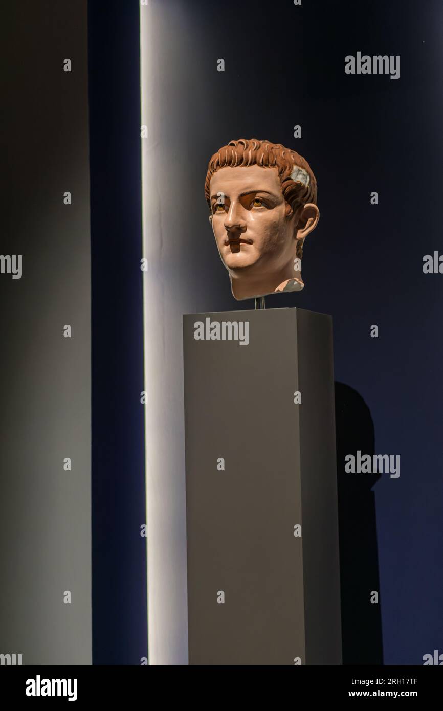 A head of Caligula in the original colors in the "Painted Gods ...