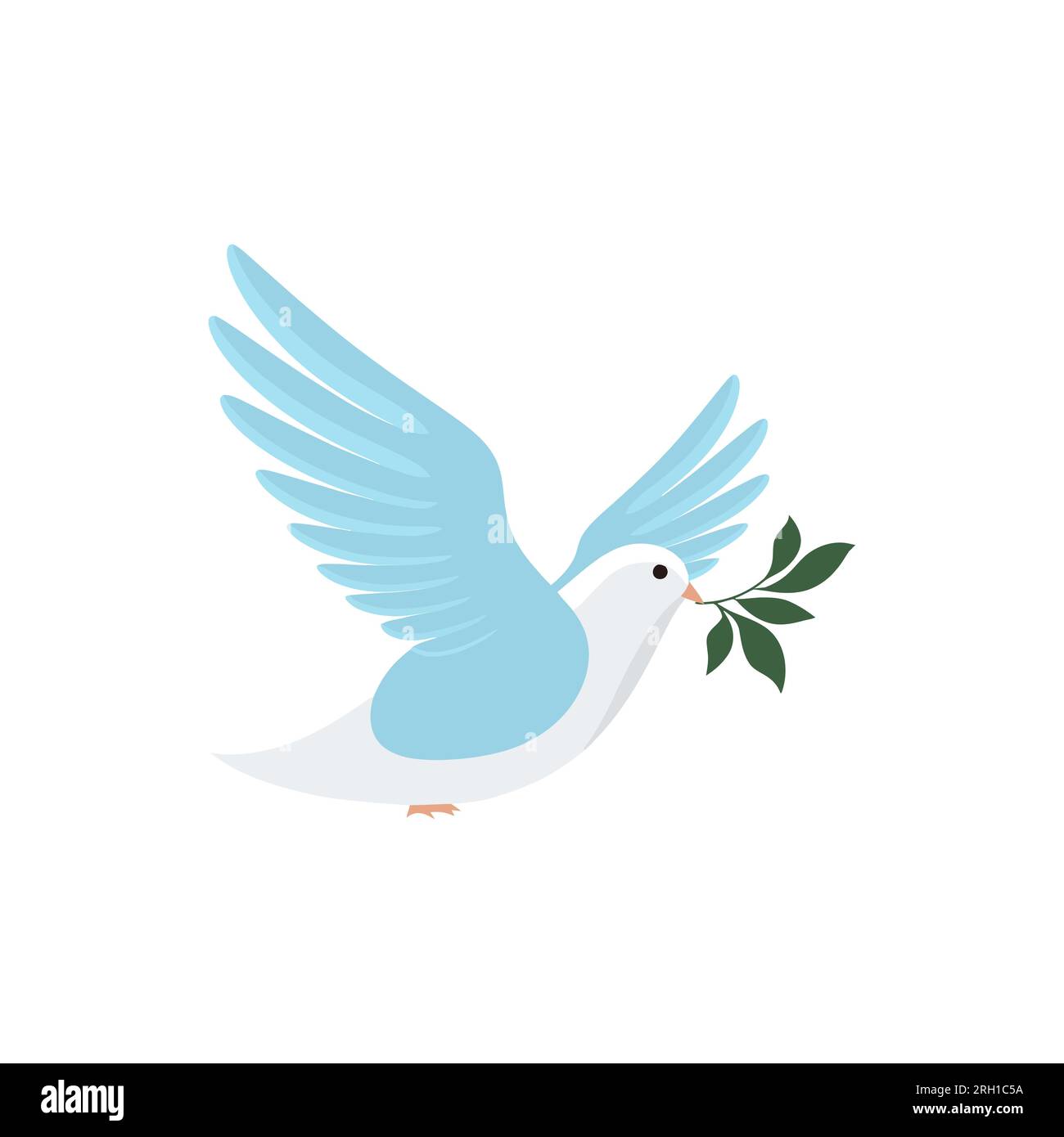 Dove with olive branch.Symbol of peace. Bird, dove holds a branch of a ...
