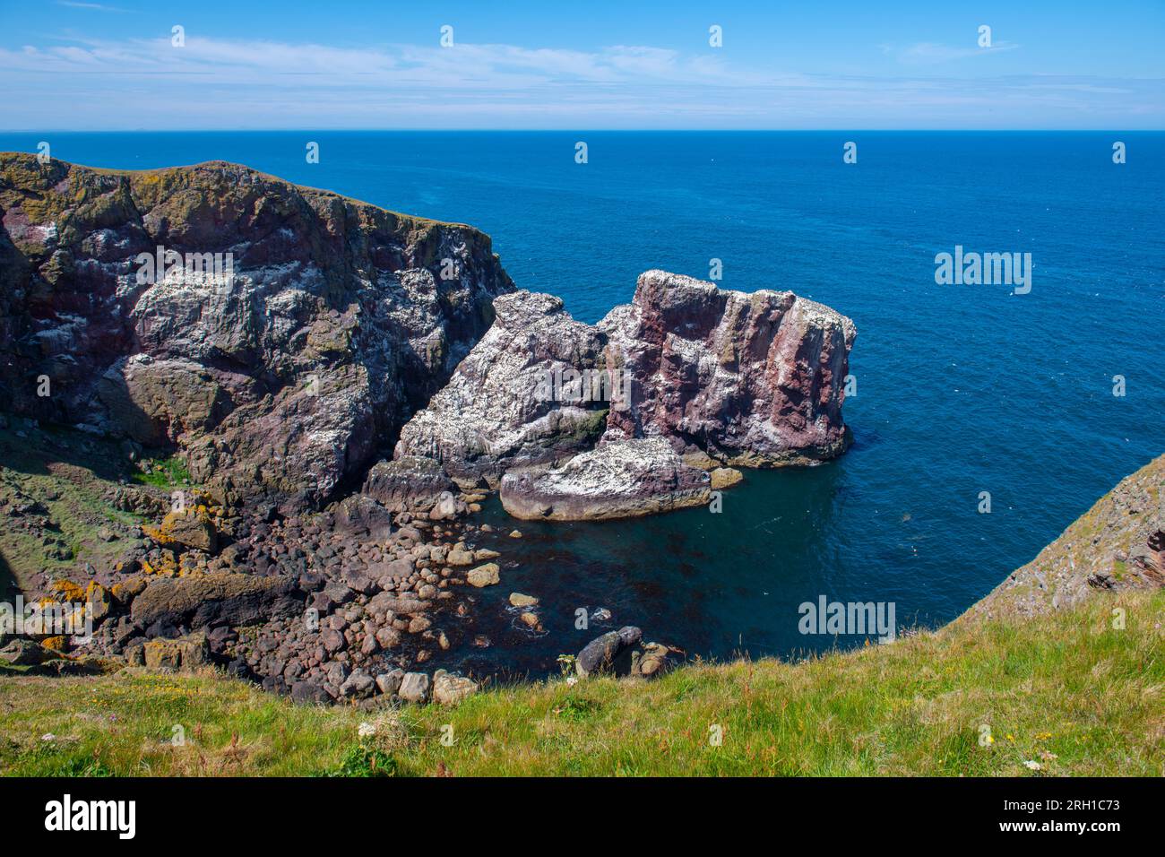 St. Abbs Head coastal cliffs aerial view in summer near village of St ...