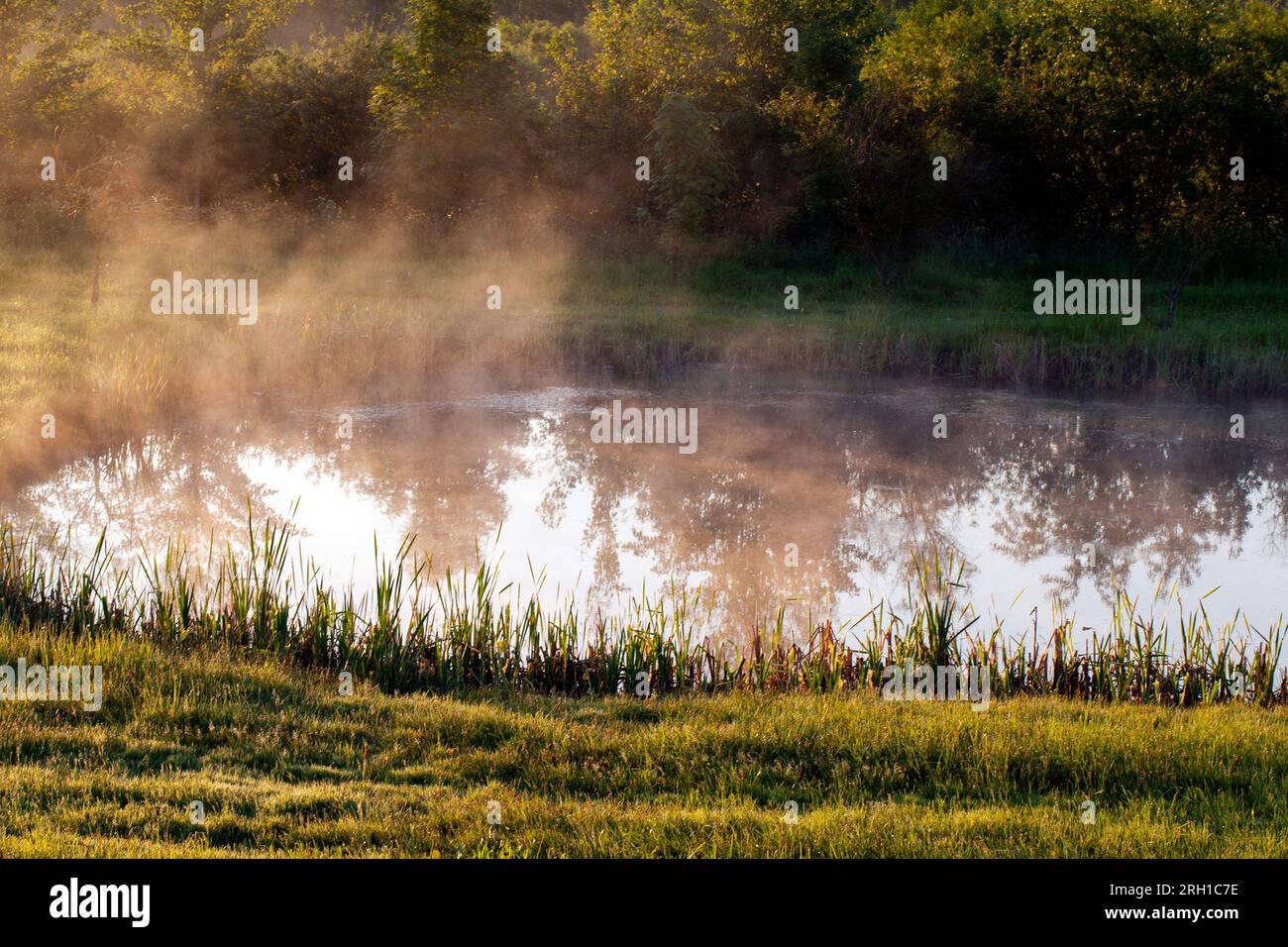 nature in the autumn season on a foggy morning, beautiful nature in the ...