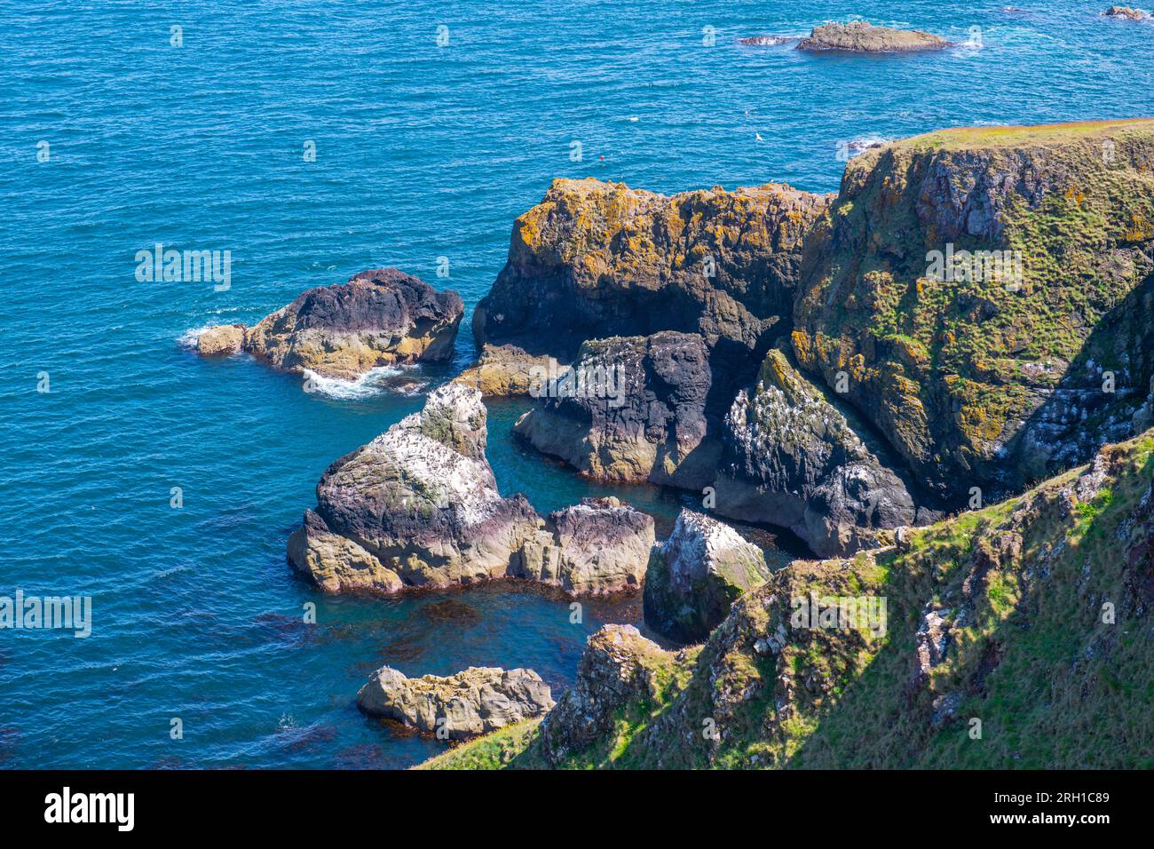 St. Abbs Head coastal cliffs aerial view in summer near village of St ...