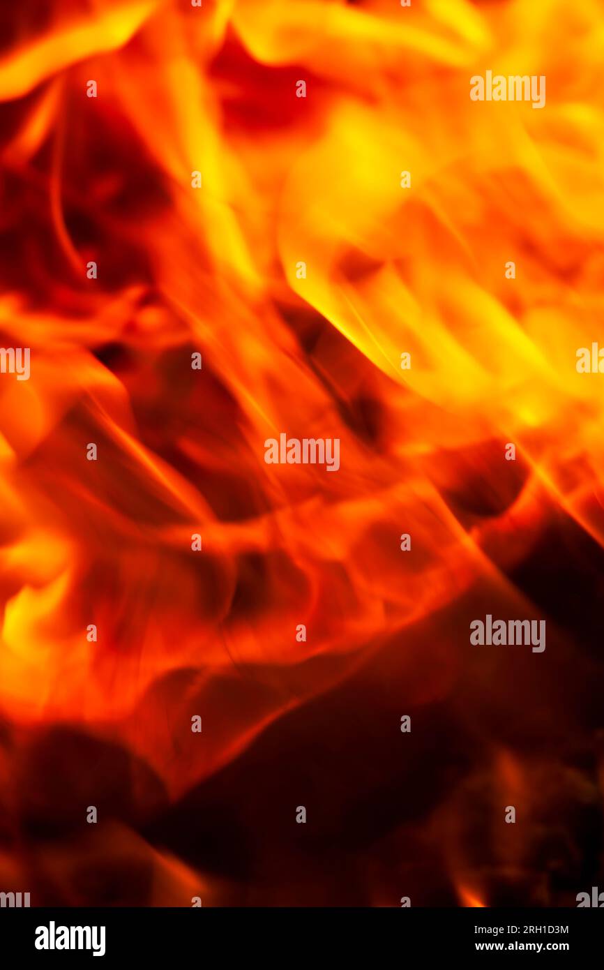 orange flame of fire while burning branches and firewood, burning wood ...