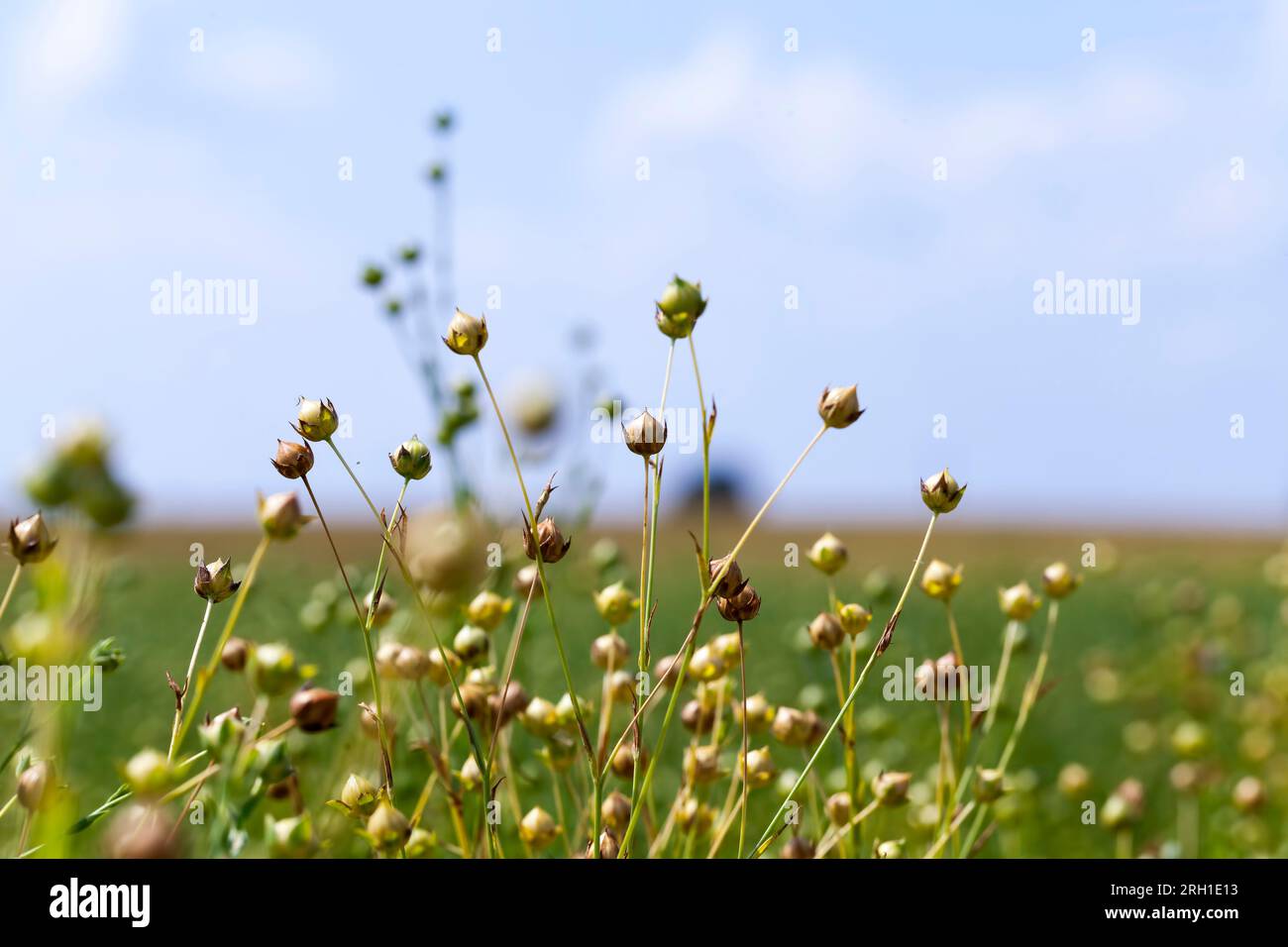 Rural fabric production hi-res stock photography and images - Alamy