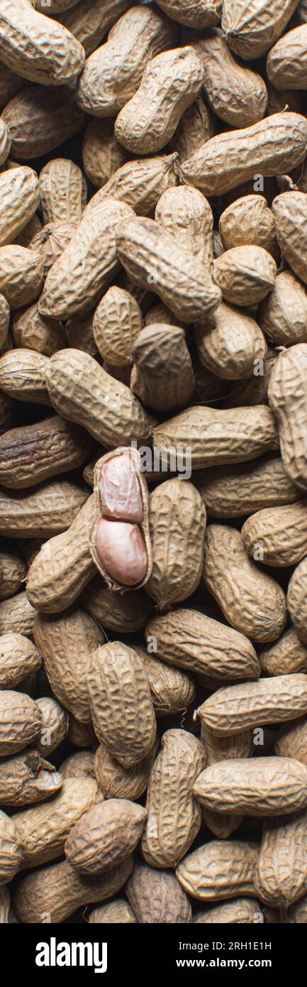 Top view of groundnuts in the shell, flatlay of shelled and unshelled ...