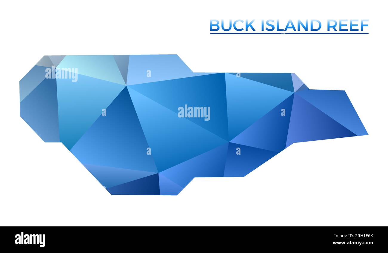 Vector polygonal Buck Island Reef map. Vibrant geometric island in low ...