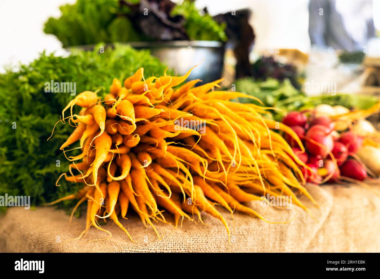 Chomolia hi-res stock photography and images - Alamy