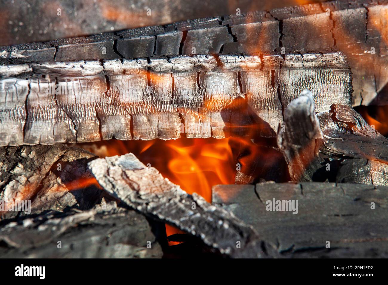 orange flame of fire while burning branches and firewood, burning wood ...