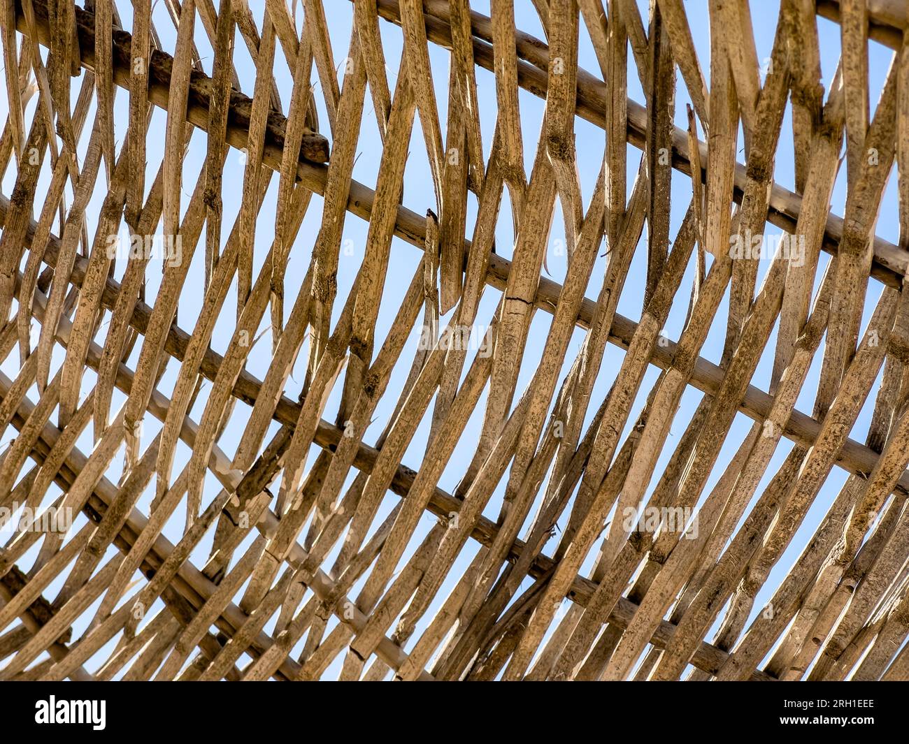 Close-up on exotic beach umbrellas on a sunny day. Wicker textured ...