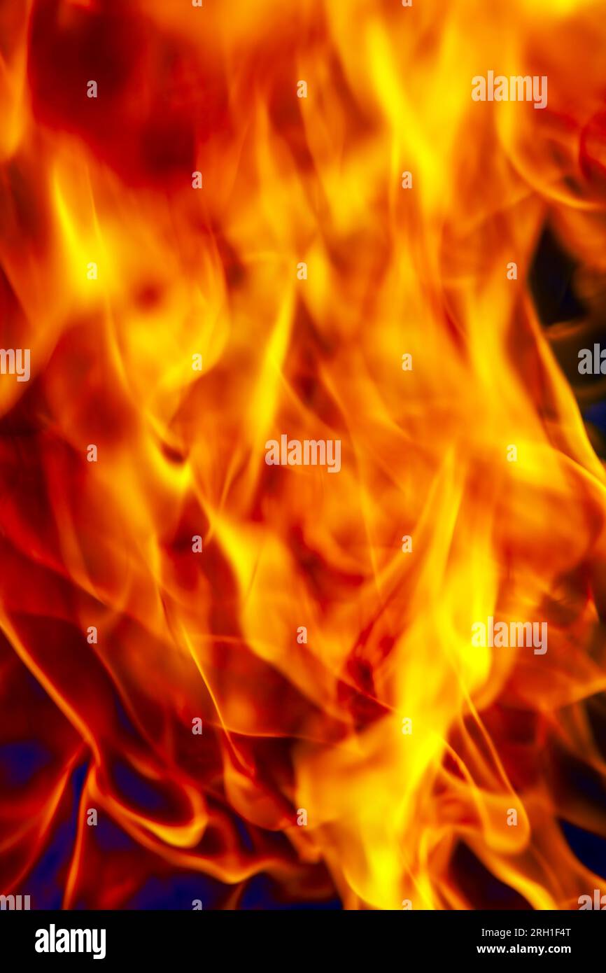 orange flame of fire while burning branches and firewood, burning wood ...