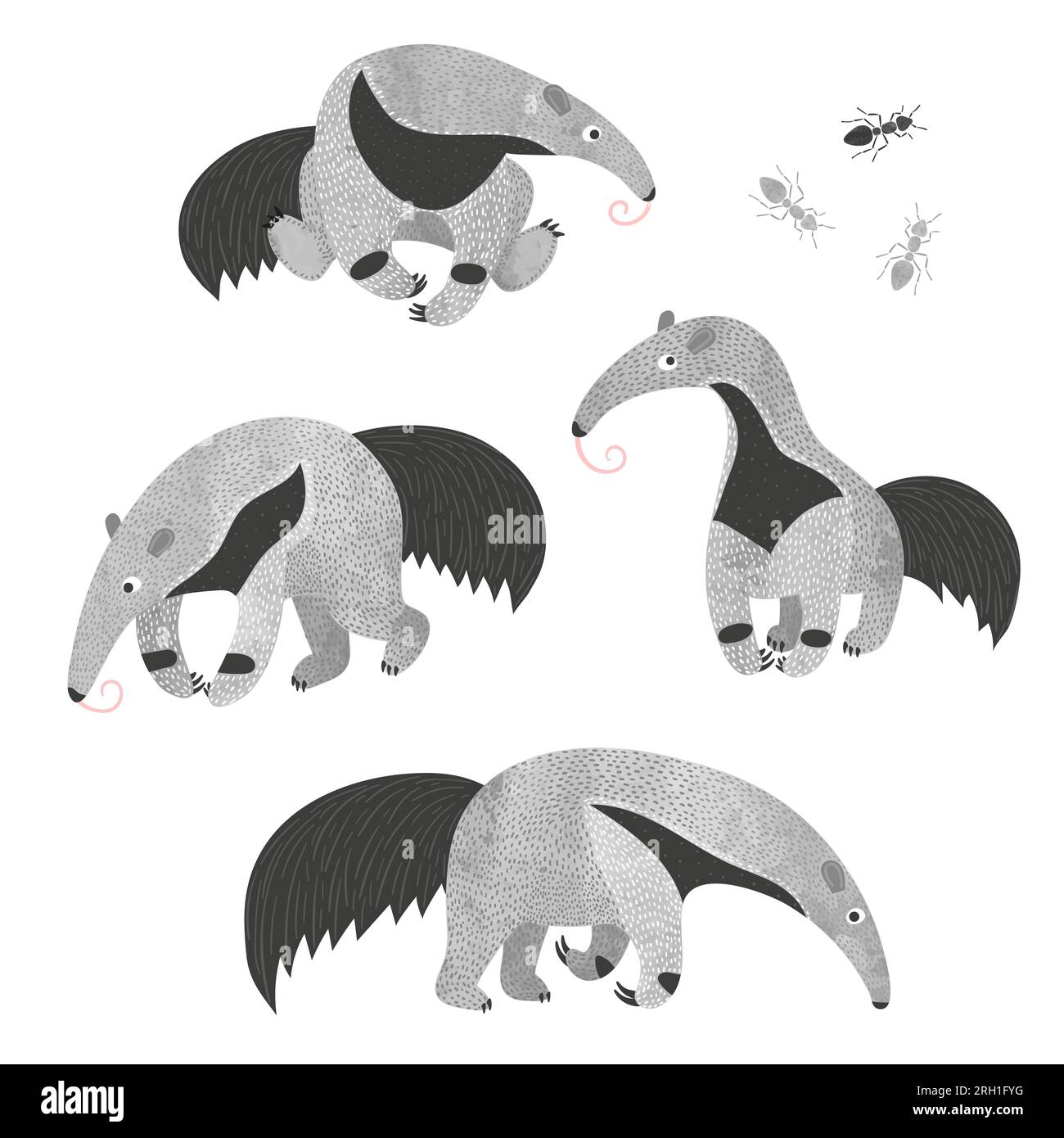 Ant eaters Stock Vector Images - Alamy