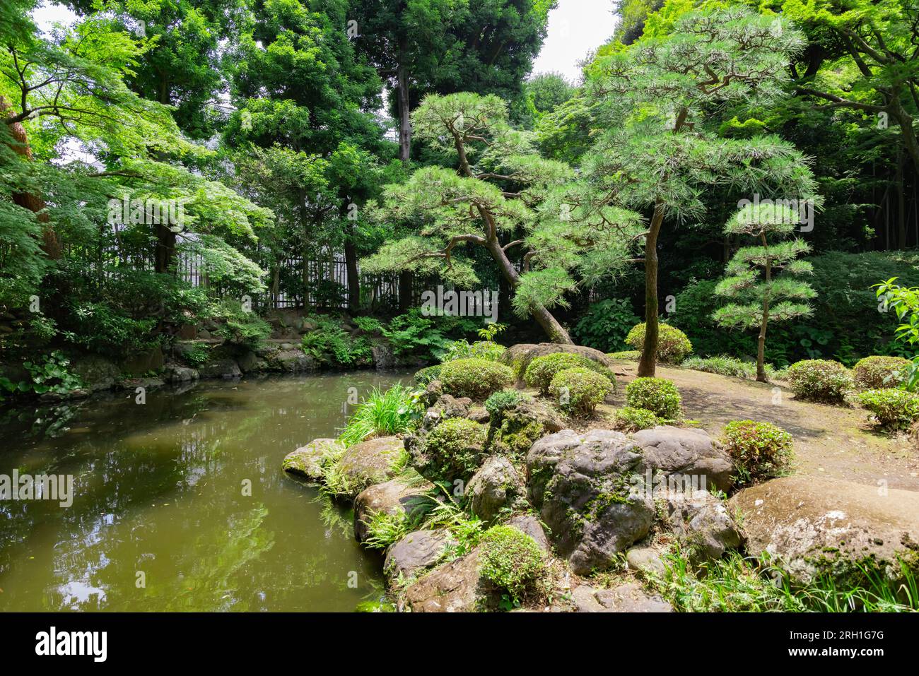 A Japanese garden pond at Tonogayato garden in summer sunny day Stock ...