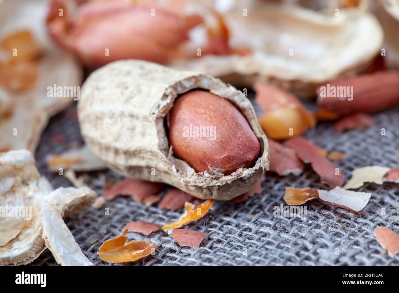peanuts roasted and ready for use in cooking, a group of peanuts ready ...