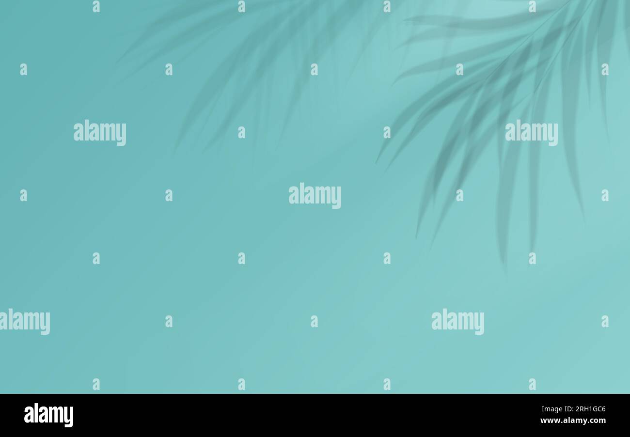 Shadow of coconut leaf on soft blue background. Vector illustration ...