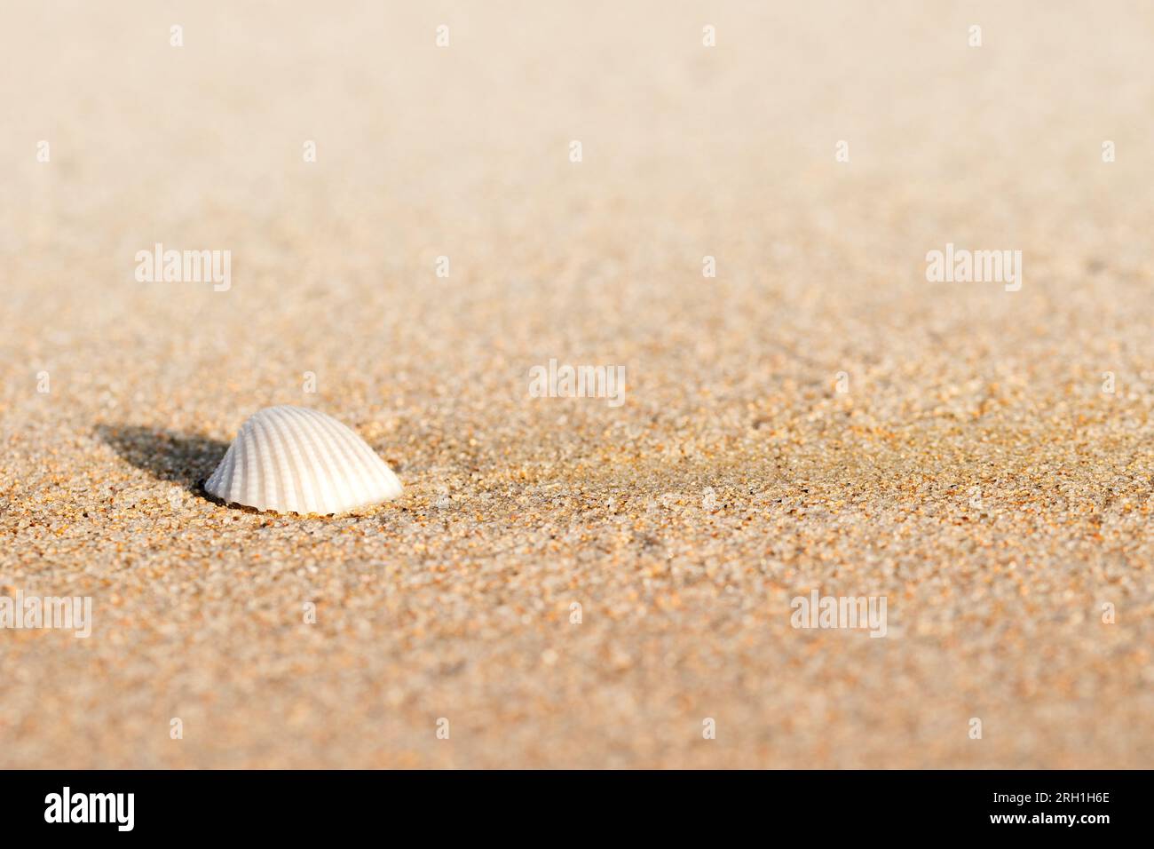 Sunshine lagoon aquarium hi-res stock photography and images - Alamy