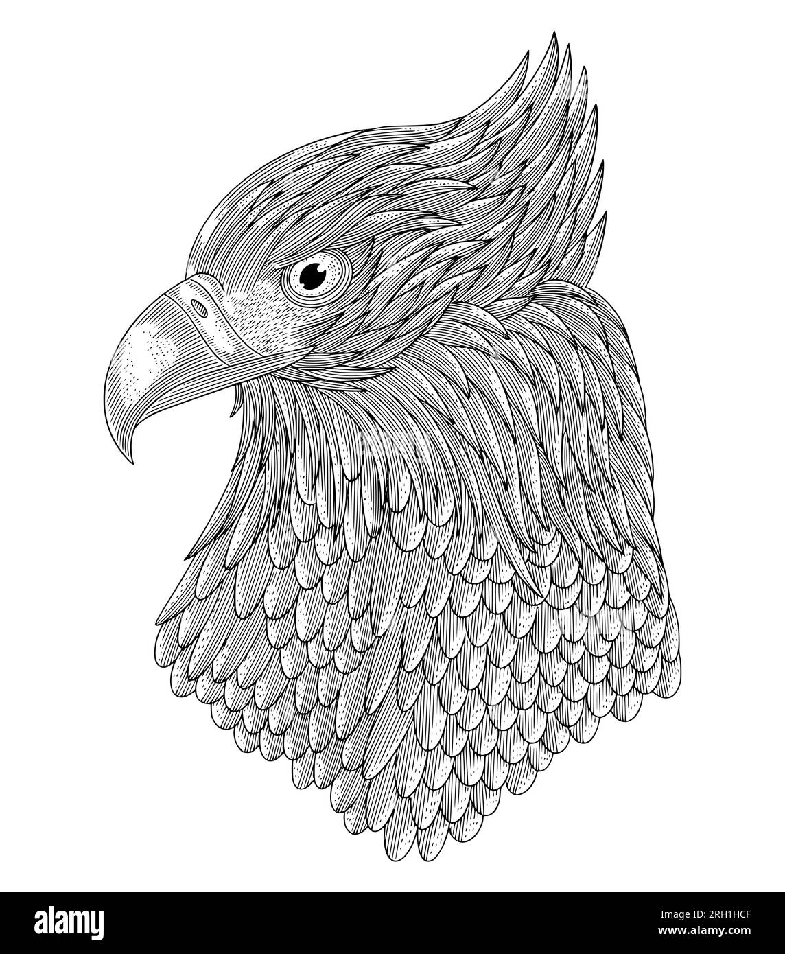 Eagle head, vintage engraving drawing style vector illustration Stock ...