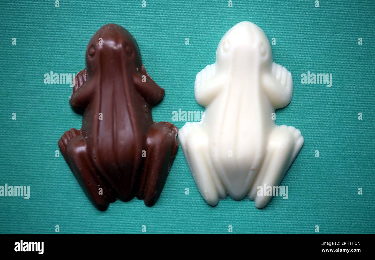 Brown and white chocolate frogs Stock Photo - Alamy