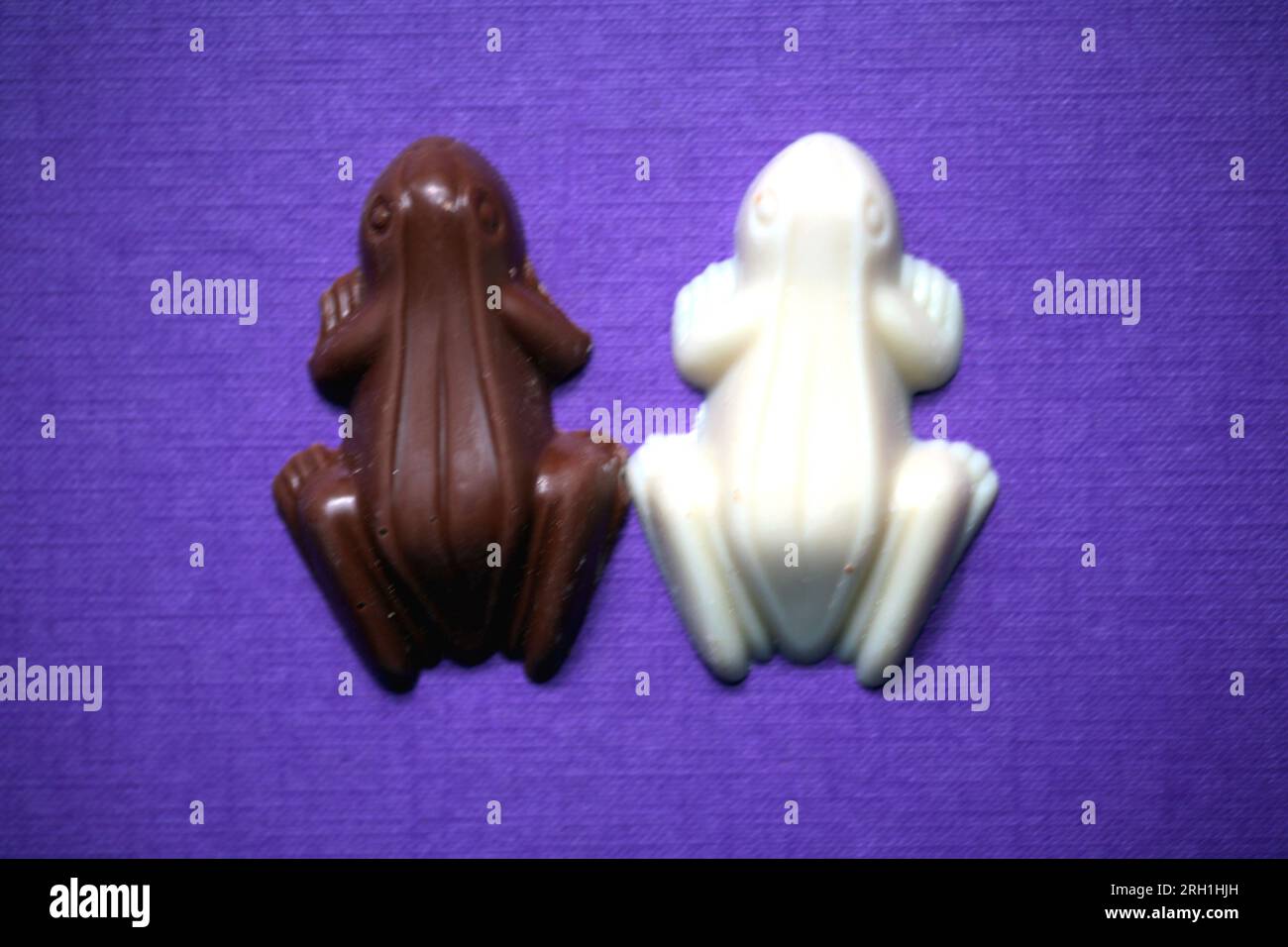 Chocolate frogs hi-res stock photography and images - Alamy
