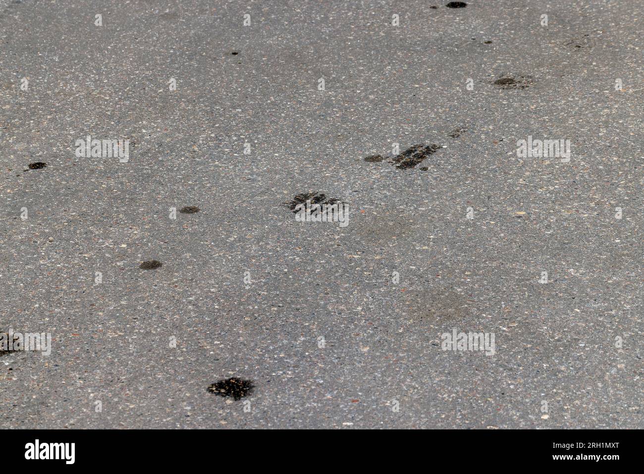 a highway with oil stains on the surface, a polluted highway from ...