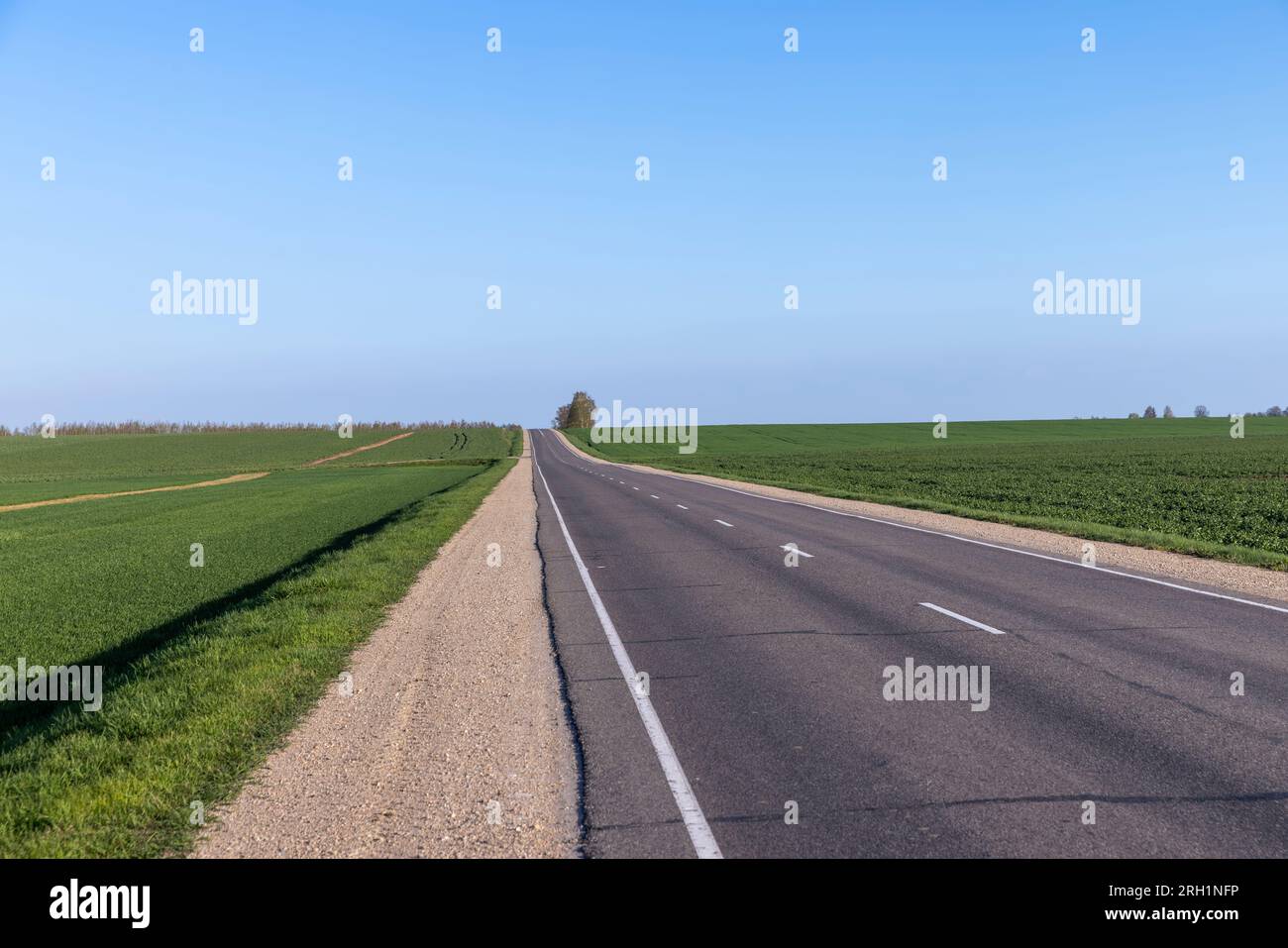 an asphalt road along which green plants, grass and other plants grow ...