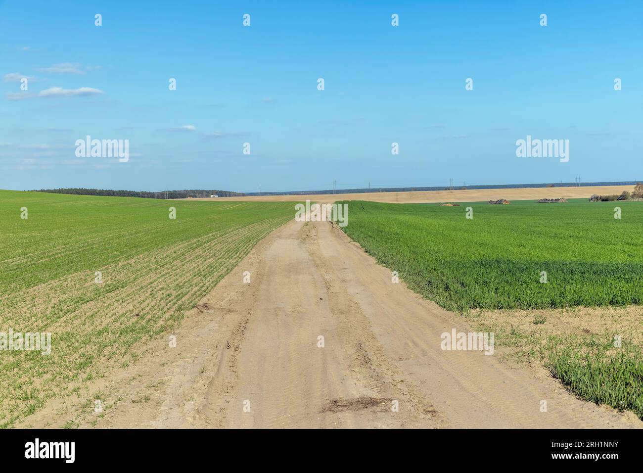 an unpaved highway along which green plants, grass and other plants ...