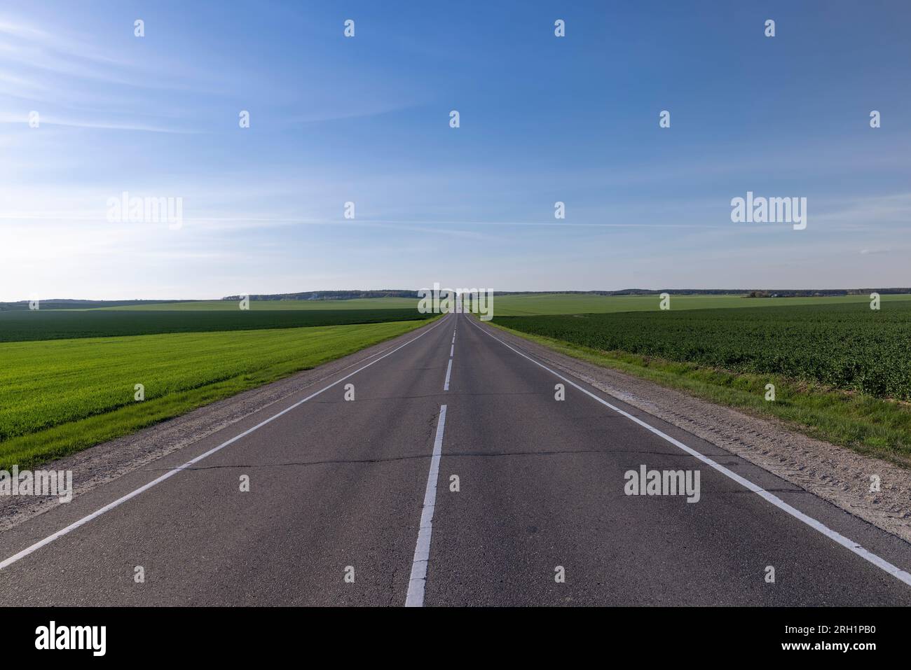 an asphalt road along which green plants, grass and other plants grow ...