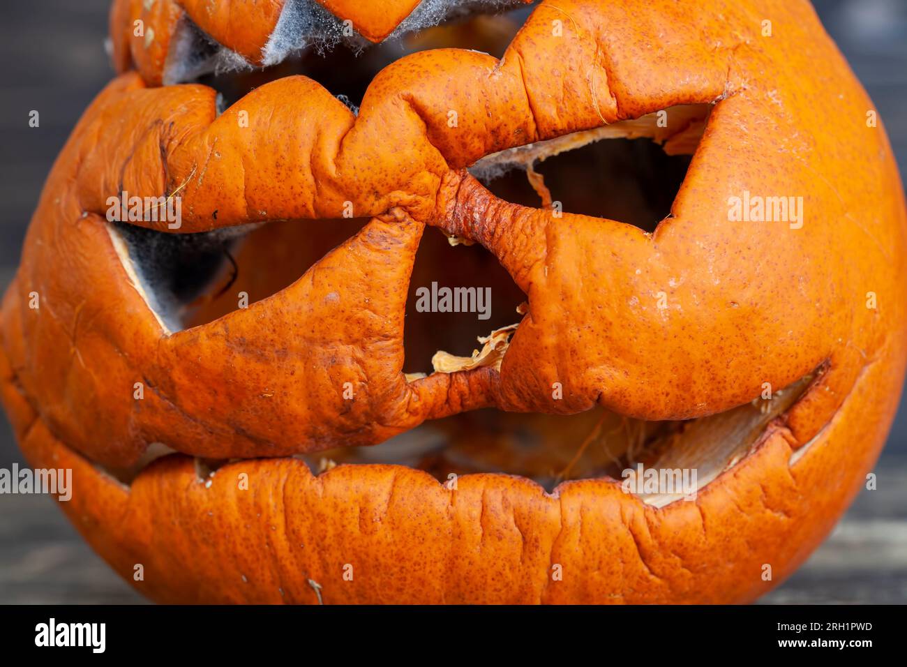 rotting pumpkin head for halloween, carved from pumpkin frightening ...
