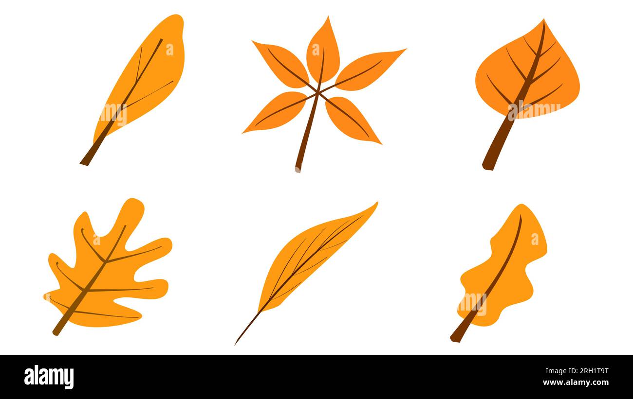 Autumn orange fall leaves graphic design elements icons Stock Vector ...
