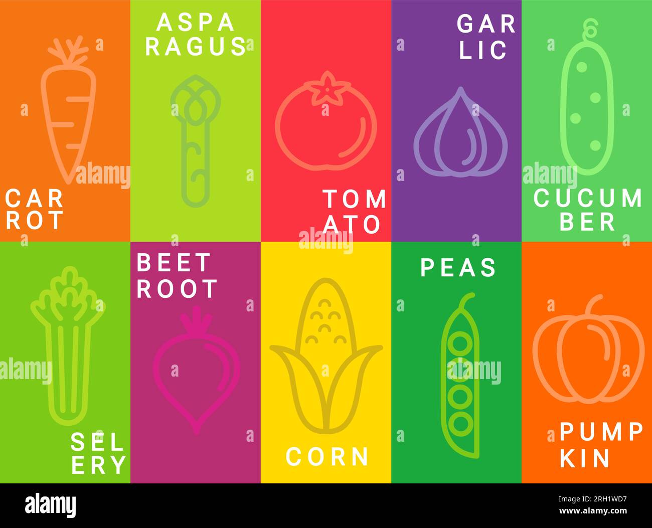 Bright vegetables cards in simple minimal style Stock Vector Image ...