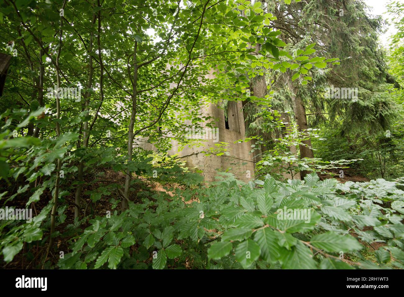 Riese ground structure hi-res stock photography and images - Alamy