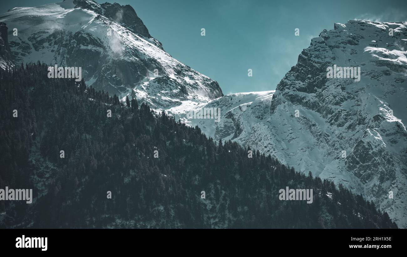 Snow covered trees holy hi-res stock photography and images - Alamy