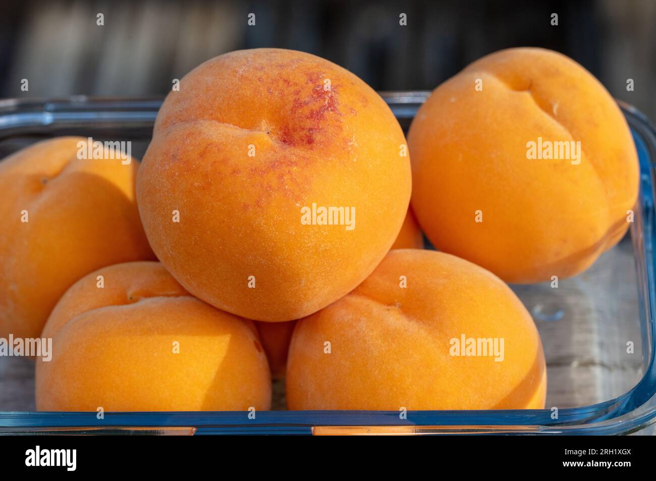 Peach, Persika (Prunus persica Stock Photo - Alamy