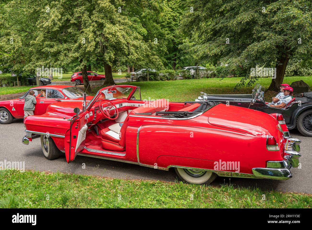 Luxury vet hi-res stock photography and images - Alamy