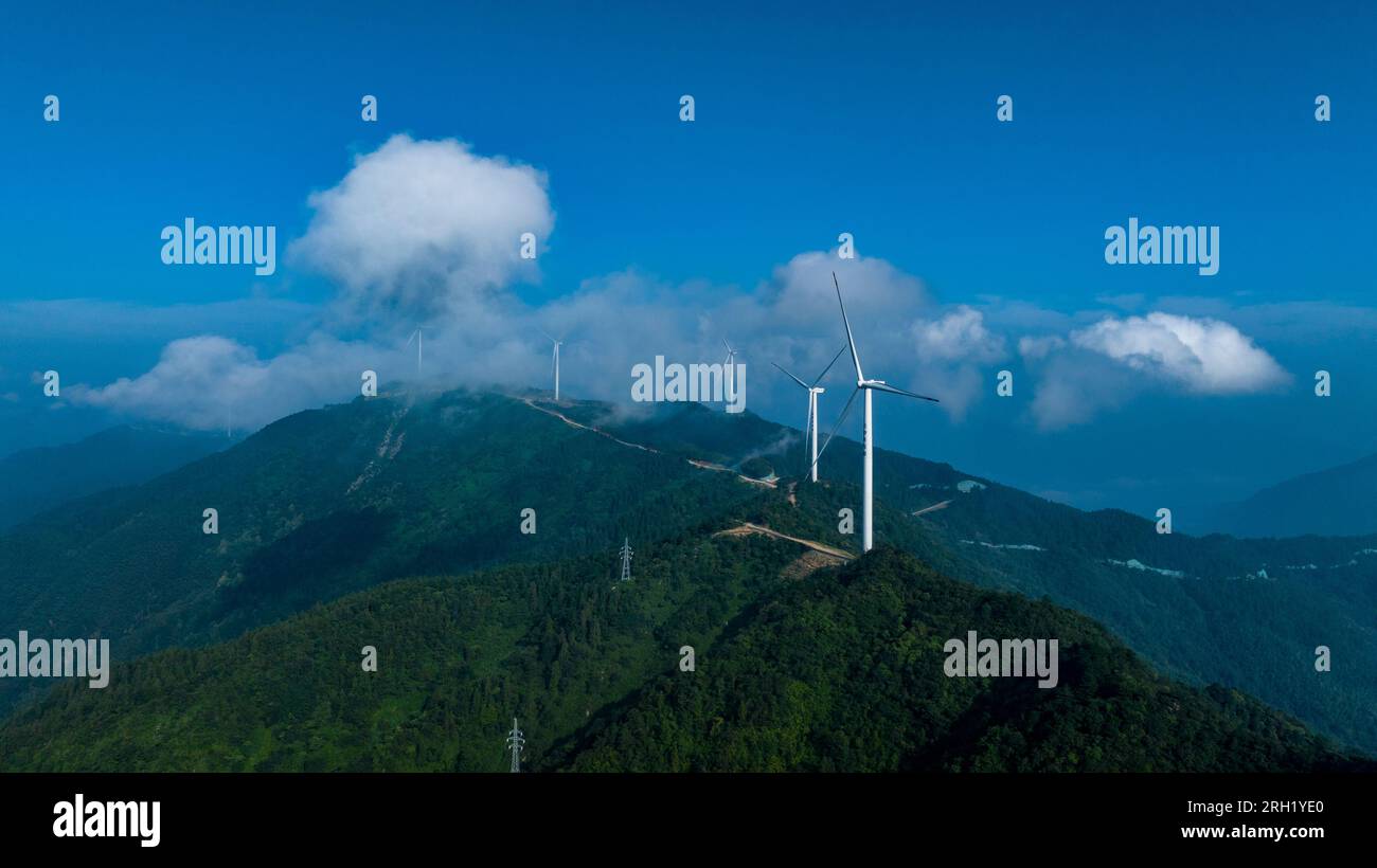 Bajiao hi-res stock photography and images - Alamy